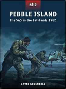 Pebble Island - The SAS in the Falklands 1982 (Raid): Barnes, Gregory ...
