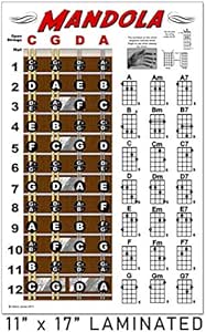 Amazon.com: Laminated Mandola Fretboard and Chord Chart Instructional ...
