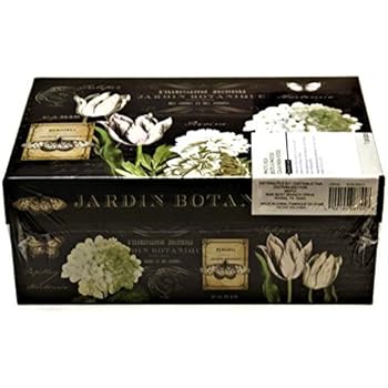 Amazon.com : Recollections Storage Memory Photo Box ~ Black : Camera ...