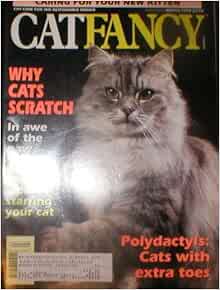 Cat Fancy Magazine March 1994: Cat Fancy: Amazon.com: Books