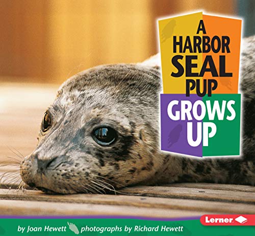 Amazon.com: A Harbor Seal Pup Grows Up (Baby Animals): 9780822500926 ...