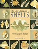 The Book of Shells: A Life-Size Guide to Identifying and Classifying ...