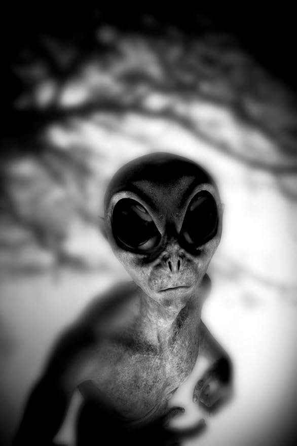 Amazon.com: Alien Face Creepy Scary Face Black White Photo UFO Fantasy ...