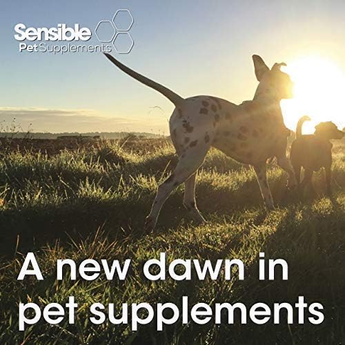 Sensible Pet Supplements ‘Joint’ for medium and large dogs. Contains ...