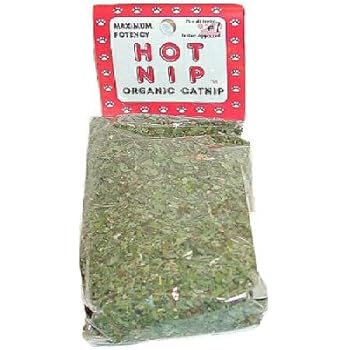Amazon.com : Feline Approved Hot Nip Organic Catnip : Dried Catnip : Pet Supplies