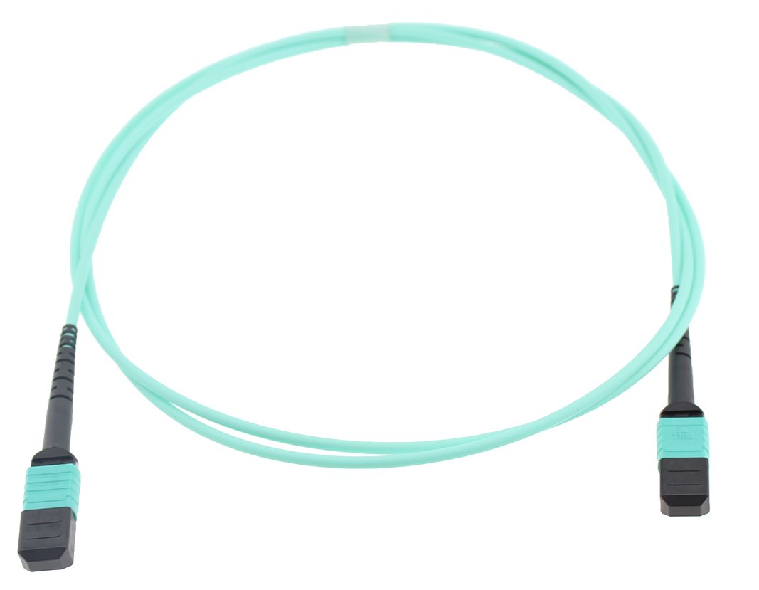CableJoy MPO-12F-OM4-F2F-TB-10M 12 Fiber OM4 MPO Trunk Cable, Female to ...