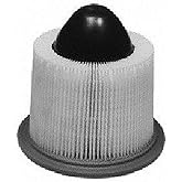 Amazon.com: ECOGARD XA5155 Premium Engine Air Filter Fits Ford Escort 2 ...