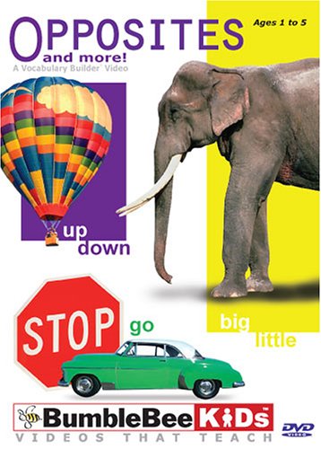 Amazon.com: Opposites and More: Bumblebee Kids, Baby Bumblebee: Cine y TV