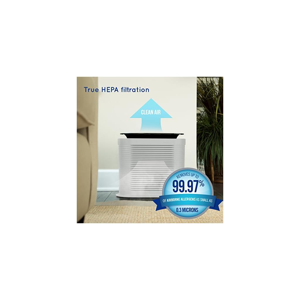 HoMedics HEPA Air Purifier Fan, Keeps Air Fresh, Protects from Allergy ...