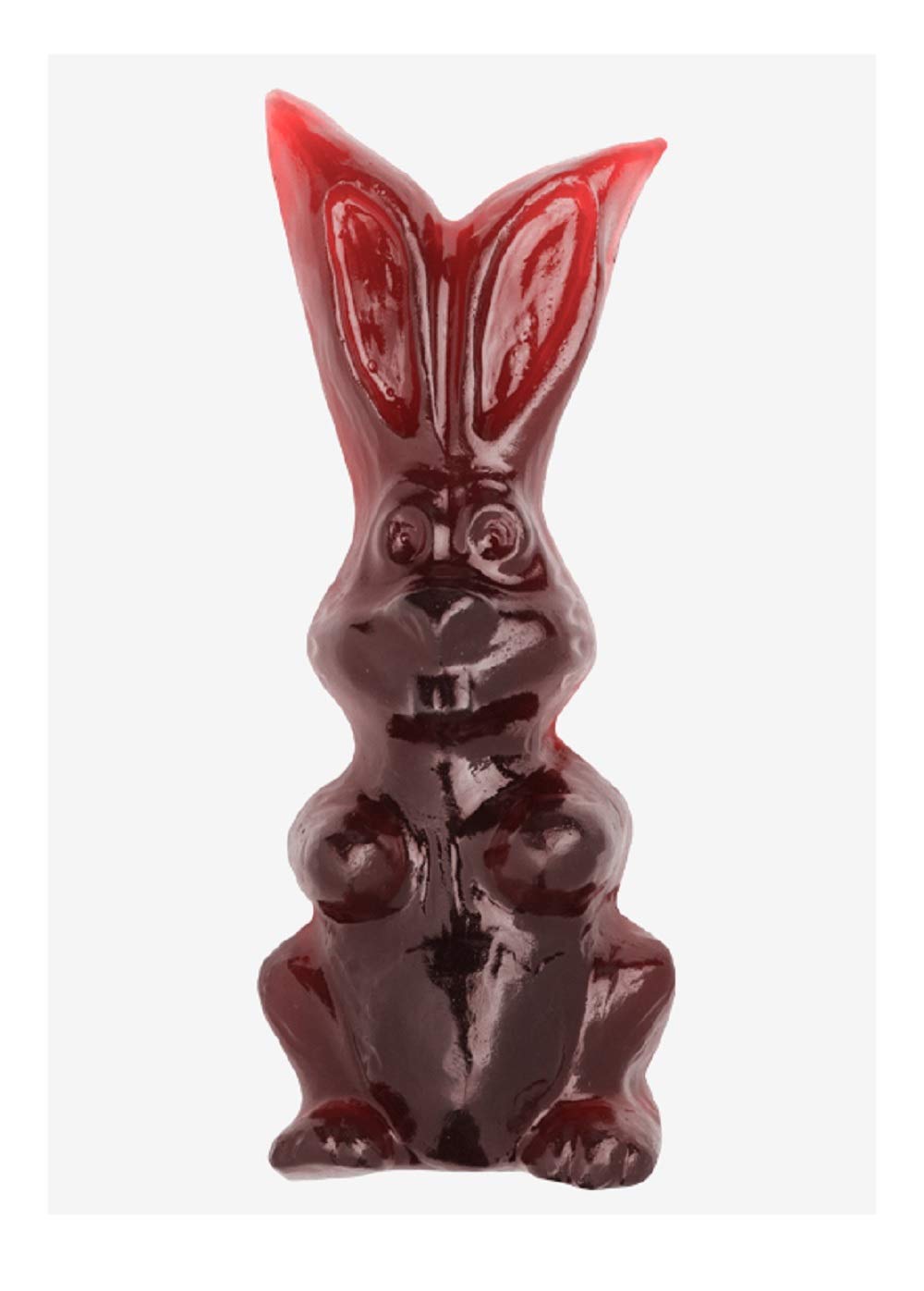 Amazon.com : The Original World's Largest Giant Gummy Bunny! - Great ...