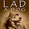 Lad: A Dog: Albert Payson Terhune: 9781434440495: Amazon.com: Books