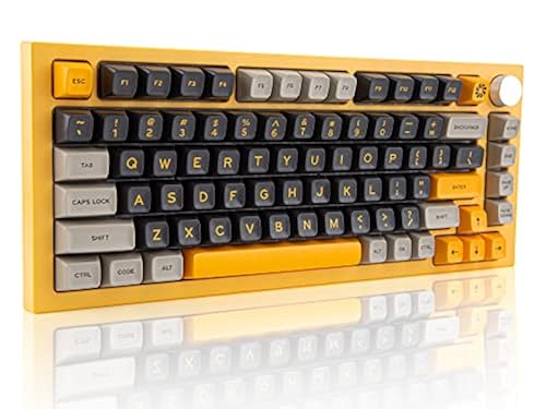 Custom Keycaps 173 Keys Keycap Kit SA Profile Double-Shot ABS Keycaps ...