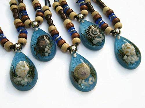 Amazon.com: ONE Shell Necklace, Real Pressed Beach Shell Pendant ...