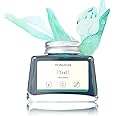 Amazon.com : Hongdian Fountain Pen Bottled Ink Teal Color, 60ml Non ...