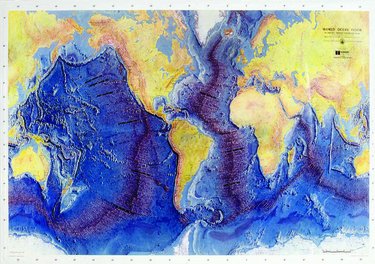 Topographic Map Of Ocean Floor - Map