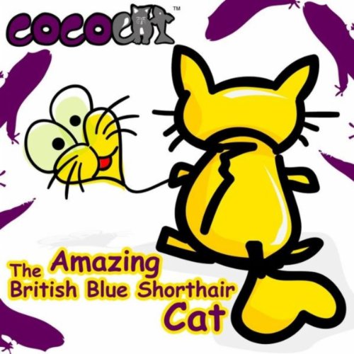 Cococat in Pakistan - StarShop.pk