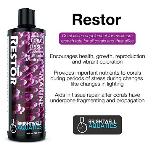 Brightwell Aquatics Restor - Liquid Coral Tissue Nutritional Supplement ...