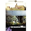 Amazon.com: The Learning Tree: Kyle Johnson, Alex Clarke, Estelle Evans ...