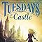 Tuesdays at the Castle: George, Jessica Day: 9781681192185: Amazon.com ...