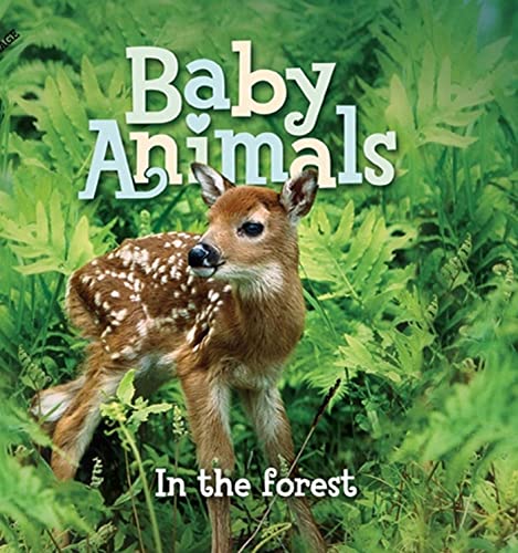 Baby Animals In the Forest: Editors of Kingfisher: 9780753465660: Books