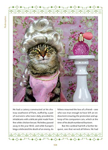 A Cat's Tale: A Journey Through Feline History | Pricepulse