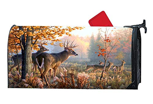 Best Deer Mailbox | TOP 10 Deer Mailbox 2020