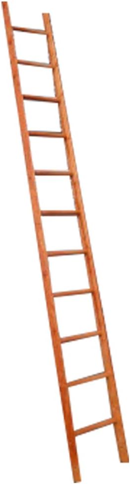 3m Wooden Single Section/Scaffolding/Pole Ladder/Ladders: Amazon.co.uk ...