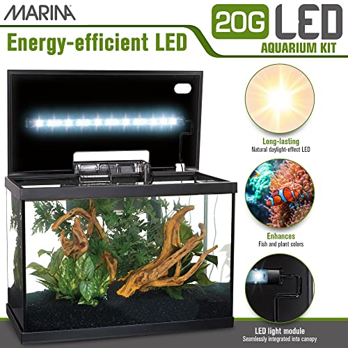 Marina Aquarium Kit - 20 gallon Fish Tank - LED | Pricepulse