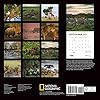 National Geographic: African Safari 2024 Wall Calendar in Oman | Whizz ...