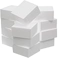 Amazon.com: Crafare 4X4X2 Inch Craft Foam Blocks 12 Pack Polystyrene ...