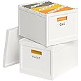 Amazon.com: File Organizer File Box with Lid, Universal Hanging File ...