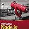 Amazon.fr - Professional Node.js: Building Javascript Based Scalable Software- - Teixeira, Pedro ...