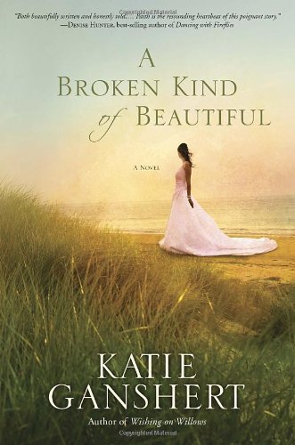 Best Christian Romance Novels With Strong Heroines - In Our Spare Time