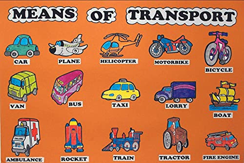 Buy Educational Poster for Kids|Means of Transport|Poster for Preschool ...