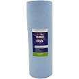 Amazon.com: Clorox Platinum Edition Premium Pool Filter | Replacement ...