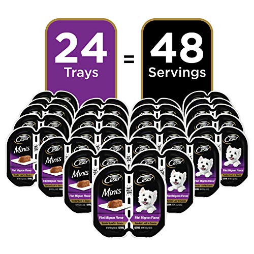 CESAR Minis Wet Dog Food Tender Loaf in Sauce, Filet Mignon Flavor, (24 ...
