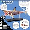 Discovery Mindblown 4D Great White Shark Anatomy Kit, Interactive ...