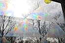 Amazon.com: Decorative Rainbow Window Film Holographic Prismatic Etched ...