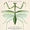 Innumerable Insects: The Story of the Most Diverse and Myriad Animals ...