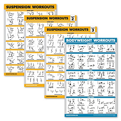 Palace Learning 4 Pack - Suspension Workout Posters Volume 1, 2 & 3 ...