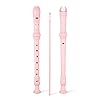 SWAN Soprano Recorder Instrument for Beginners Kids Student - German ...