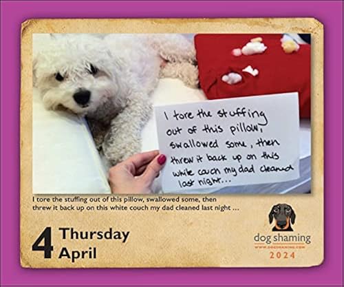 Dog Shaming Calendar 2025
