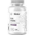 Amazon.com: Biolore Sea Moss Gummies with Elderberry, Contains Irish Sea Moss, Organic Extract ...