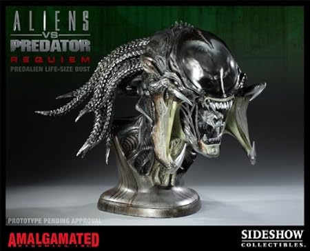 PredAlien Full Life Size Bust ~ 1:1 Scale Sideshow: Amazon.co.uk: Welcome