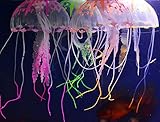 Floating Jellyfish Pool Lights