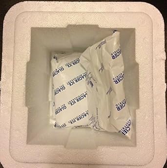 12 X 8 X 8" Refrigerated Specimen Styrofoam Cooler Shipping Kit: Amazon ...