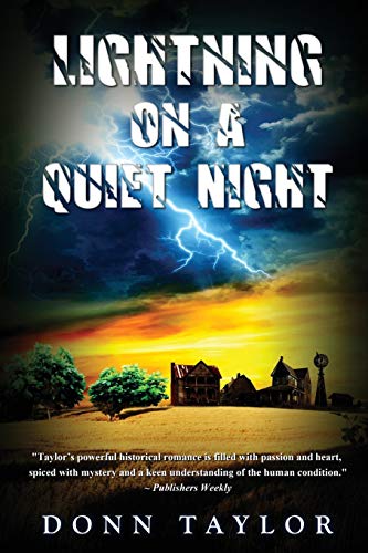 Amazon.com: Lightning on a Quiet Night: 9781941103319: Taylor, Donn: Books