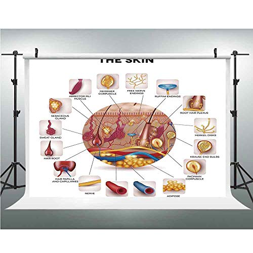 Buy Educational,Cotton Cloth Backdrop Newborn Photography Baby Photo ...