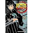 Amazon.com: Demon Slayer: Kimetsu no Yaiba, Vol. 11 (11): 9781974706488 ...