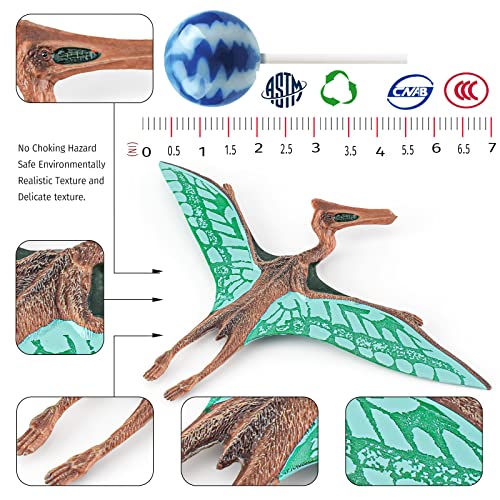 GUFOPONAS Life Cycle Of Pterodactyl Figure Toy Set 4PCS Realistic ...